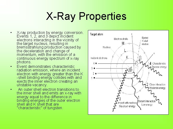 Radiology Learning the Basics Dr B Justin William