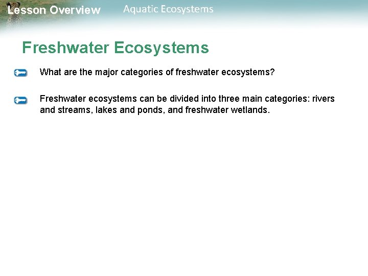 Lesson Overview Aquatic Ecosystems Lesson Overview 4 5