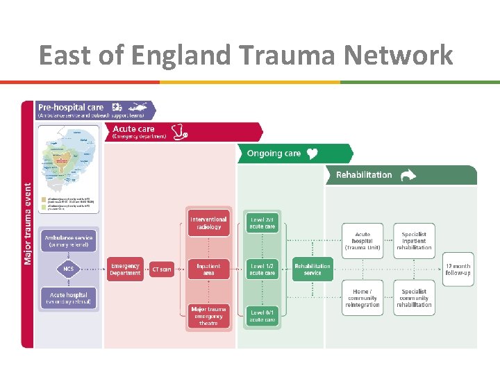 Public Health Trauma Road Safety A Holistic Approach