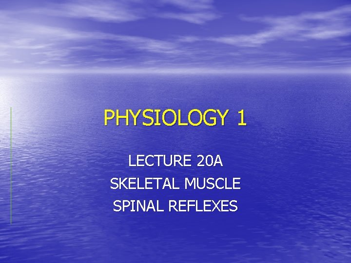 PHYSIOLOGY 1 LECTURE 20 A SKELETAL MUSCLE SPINAL