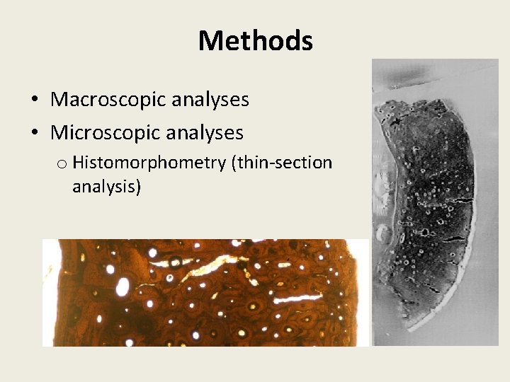 The bare bones The application of scientific methods