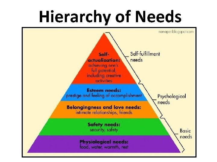 Hierarchy of Needs What motivates behavior According to