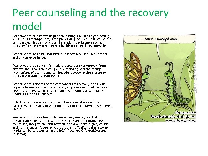 ND Peer Support Recovery Model and Professional Development