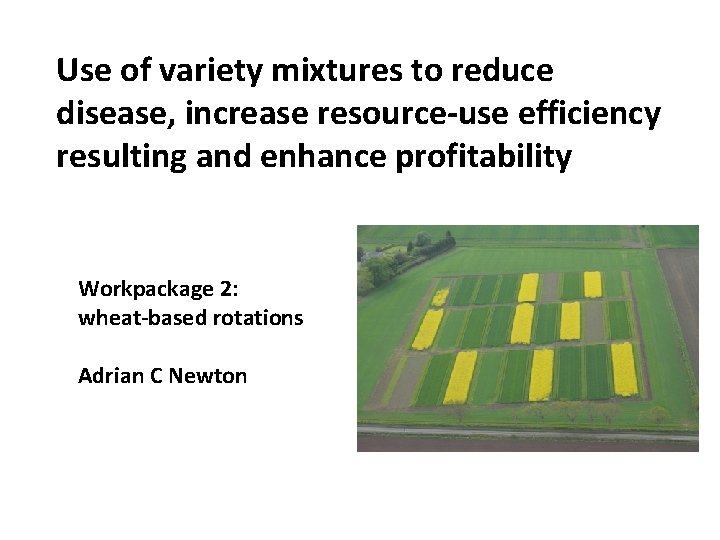 Use of variety mixtures to reduce disease increase