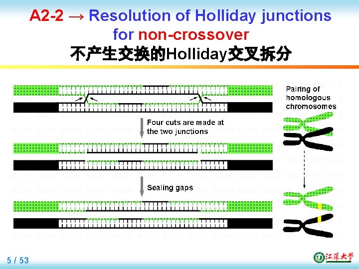Lecture 27 Chapter 10 Recombination 10 10 1