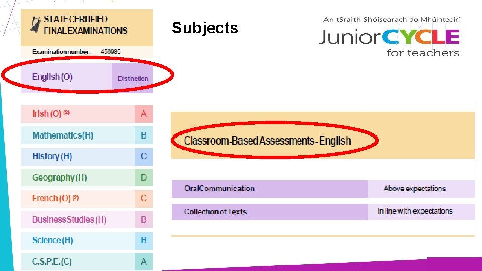 Overview 1 Our students 2 Structure of the
