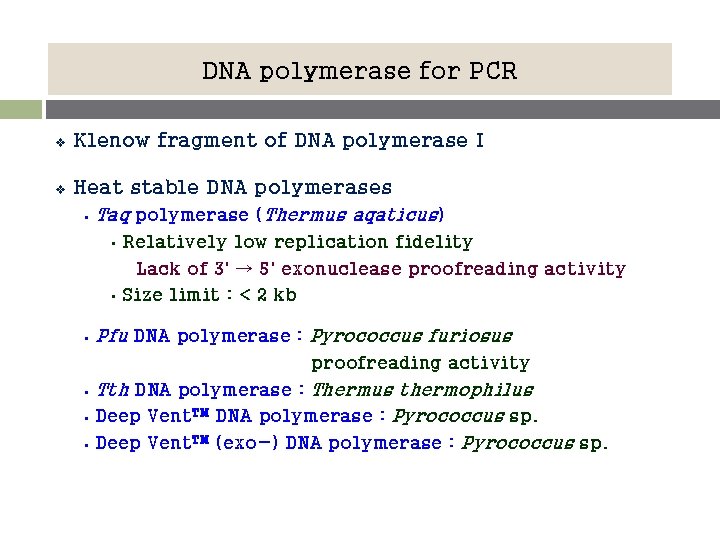 Polymerase Chain Reaction PCR v DNA Primer set