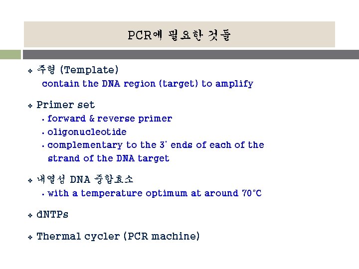 Polymerase Chain Reaction PCR v DNA Primer set
