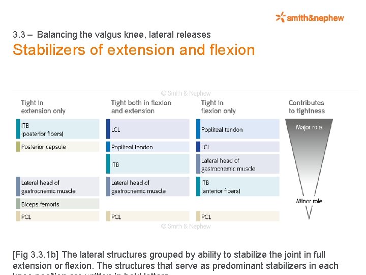 Ligament Balancing in Total Knee Arthroplasty Section 3