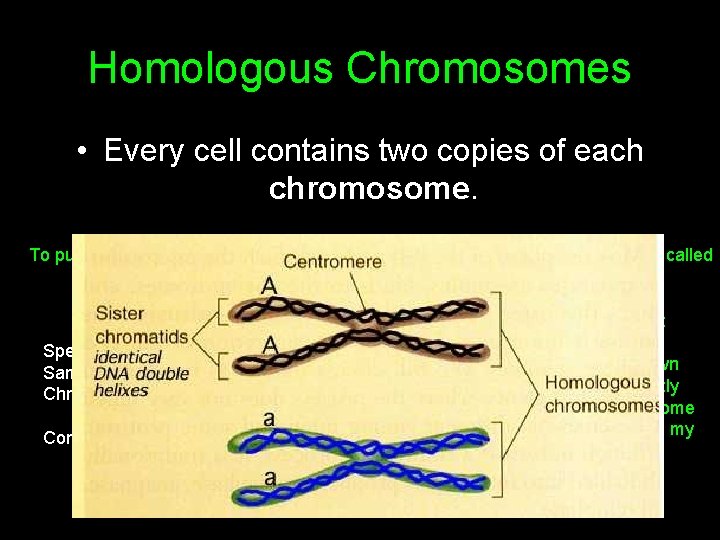 Genetics The Study of Biological Heredity Do Now
