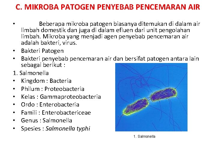 Pencemaran air yang disebabkan oleh mikroorganisme POKOK BAHASAN