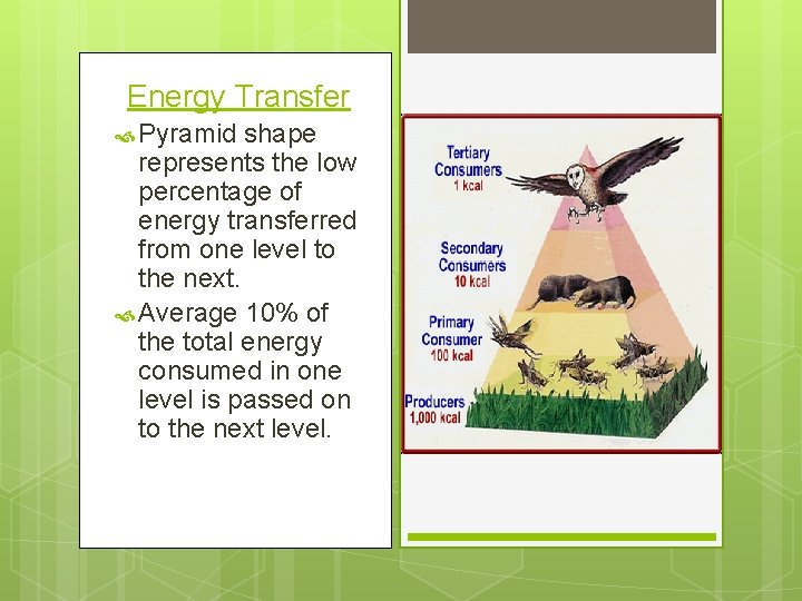 Chapter 18 Section 3 Energy Transfer Think PairShare