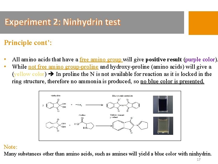 Qualitative tests of Amino Acids BCH 302 Practical
