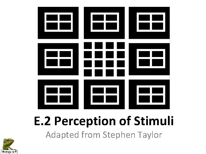 E 2 Perception of Stimuli Adapted from Stephen