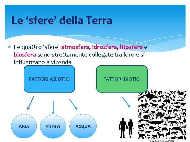 Il pianeta Terra e le sue risorse Prof