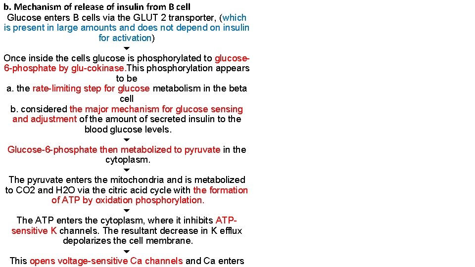 Pancreas Glucose Metabolism Part 4 Insulin chemistry and
