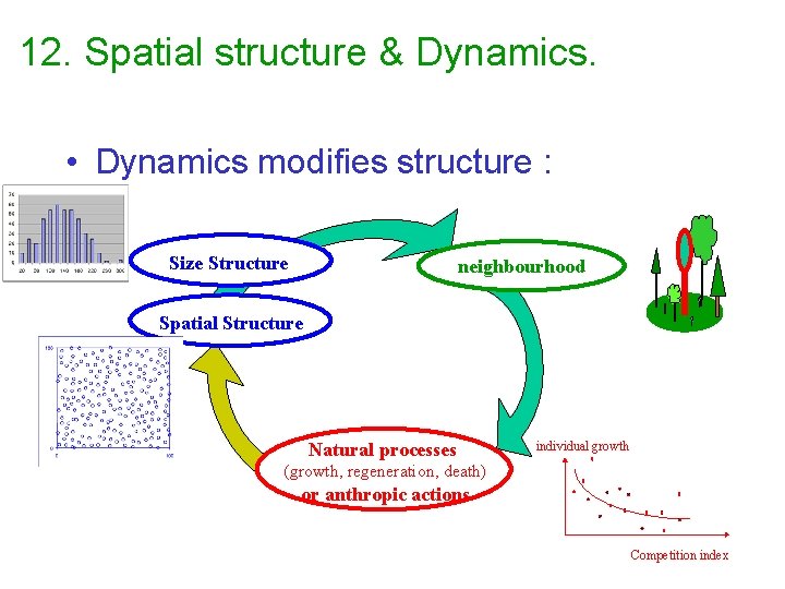 Simulating mixed virtual stands with the spatial library