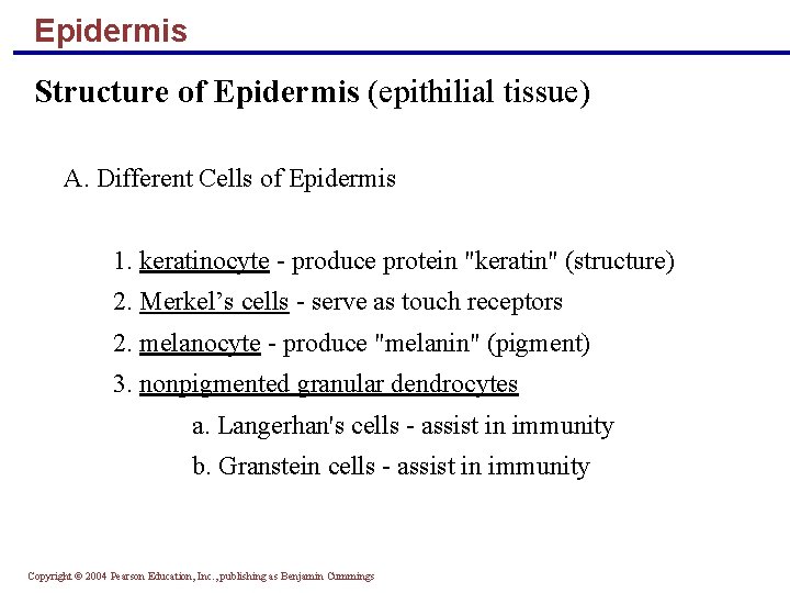 Power Point Lecture Slides prepared by Vince Austin
