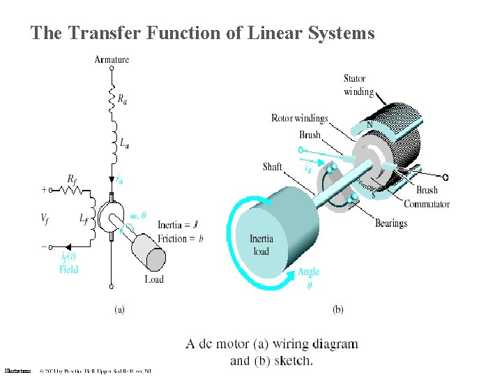 The Transfer Function of Linear Systems Illustrations The