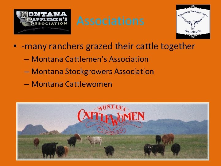 Cowboys of the West Cowboy animal herder who