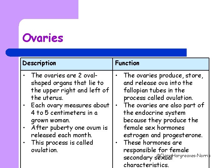 Reproductive System ACCESS Nursing and Midwifery Human Biology