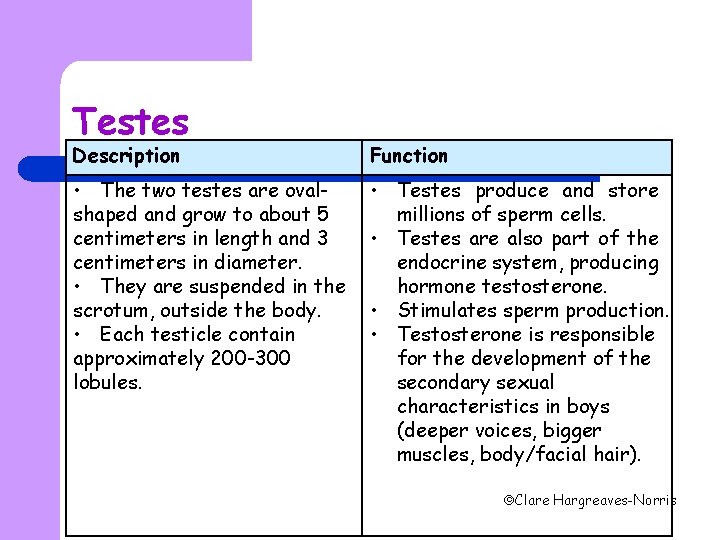 Reproductive System ACCESS Nursing and Midwifery Human Biology