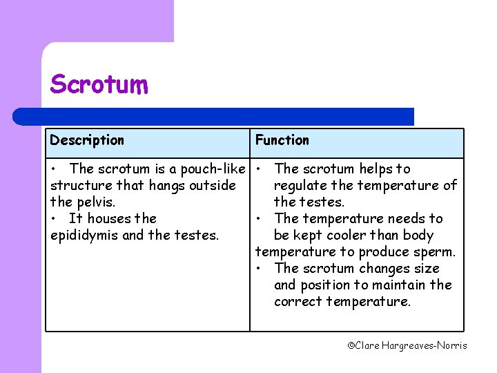 Reproductive System ACCESS Nursing and Midwifery Human Biology