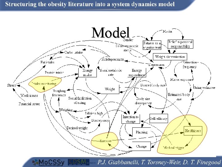 Structuring the obesity literature into a system dynamics