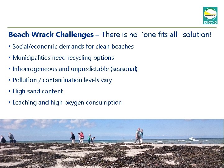 Beach Wrack Jane Hofmann EUCCD SPBIN workshop 21