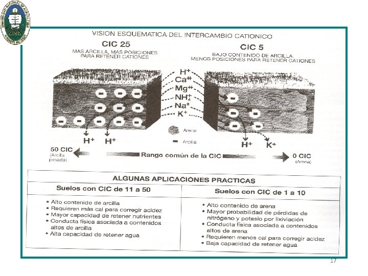 Conceptos bsicos capacidad de intercambio cationico CIC CIC
