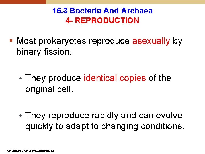 Chapter 16 The Diversity of Life Lectures by
