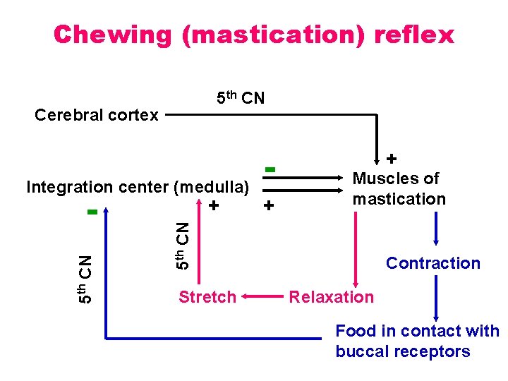 Gastrointestinal tract Physiology Dr Suaad M Ghazi MBCh