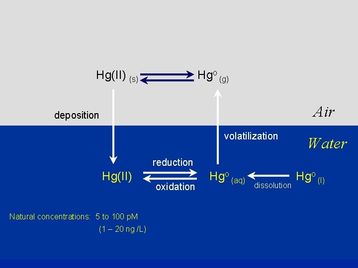 Basic Chemical Principals of Mercury SolidWater Interface Mineralogical