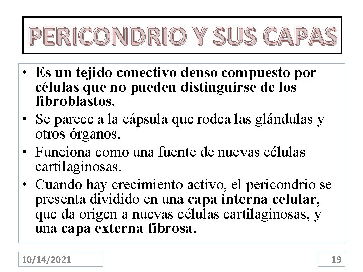 16 TEJIDO CARTILAGINOSO 10142021 1 OBJETIVOS Que el