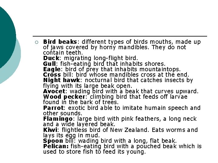 Vertebrate part II Birds The most common bird