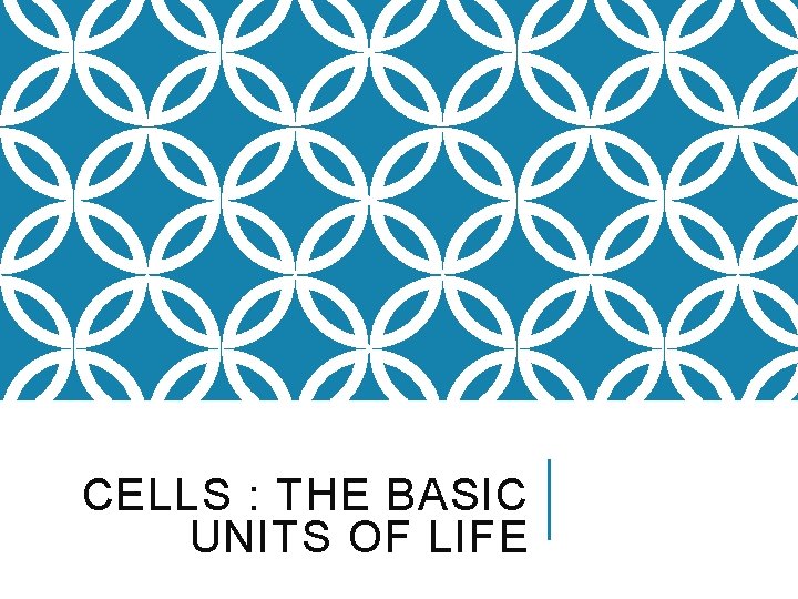 CELLS THE BASIC UNITS OF LIFE 5 LEVELS