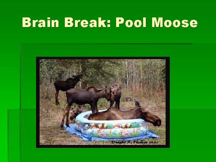 Calf Illness and Neonatal Care Flying R Vet