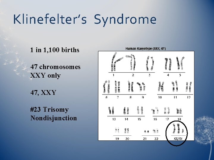 Nondisjunction disorders And other abnormal chromosome events Human