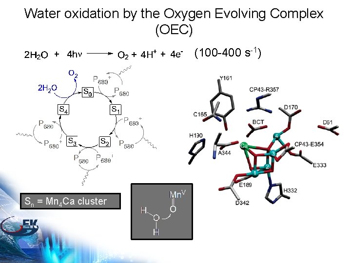Photocatalytic Water Splitting Towards Robust Water Oxidation Catalysts
