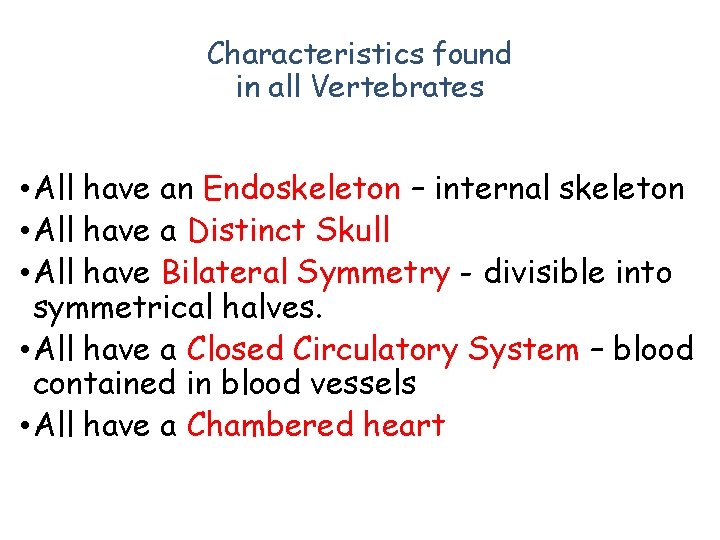 Vertebrate Animals What is a Vertebrate A vertebrate