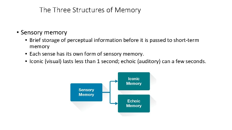 Chapter 6 Memory Memory is our brains system