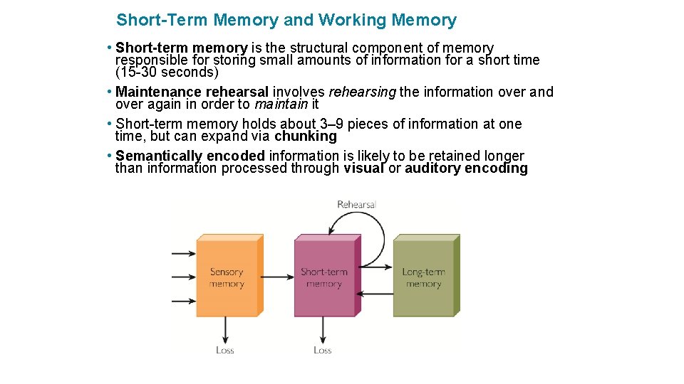 Chapter 6 Memory Memory is our brains system