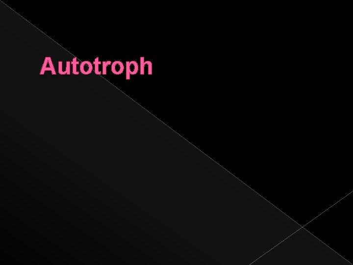 Chapter 2 Living Things Vocabulary Use the word