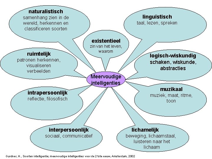 Meervoudige intelligenties leerstijlen Het brein 2 helften die