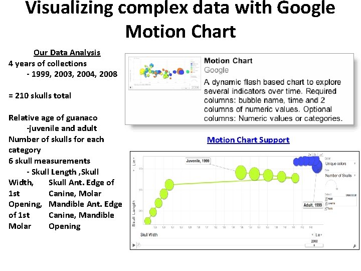 Guanacos were introduced to Staats Island Falkland Islands