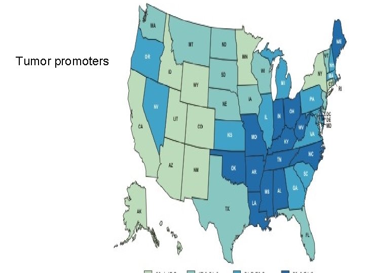 Cancer Biology Biol 445 Fall 2018 Dr Heidi