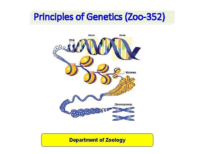 Principles of Genetics Zoo352 Department of Zoology Aims