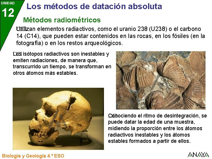 UNIDAD 12 La historia de la Tierra LOS