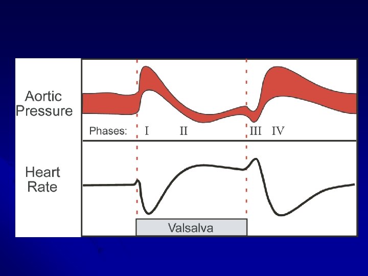 DYNAMIC AUSCULTATION Dr G Gnanavelu Reader in Cardiology