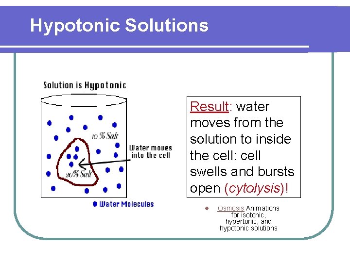Cellular Transport Plasma Membrane l controls the movement